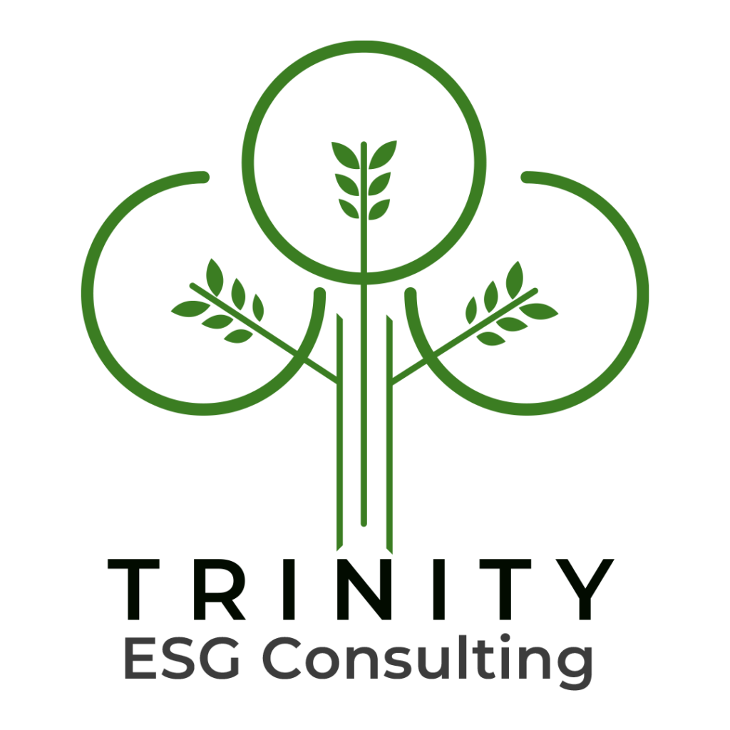 Trinity ESG Consulting – Empowering Businesses for Sustainable Success